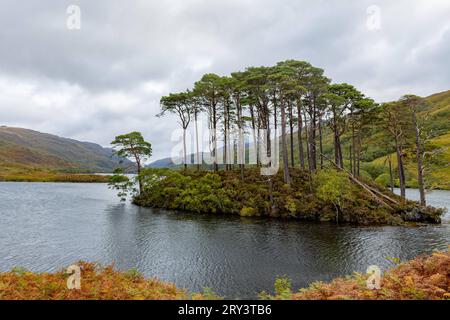 Die Insel Eilean na Moine im Süßwasser See Loch Eilt in den schottischen Highlands dient in den ...