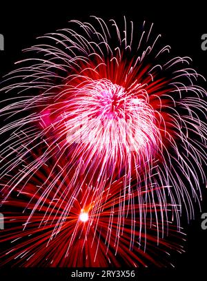 Fireworks in the night sky, night absorption, Fireworks in the night ...