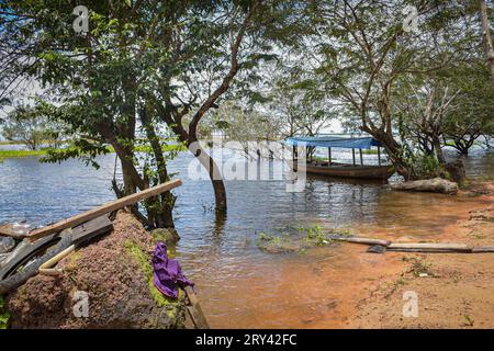 Amazon river, Brazil, Amazonian Tribe with the largest volume of land ...