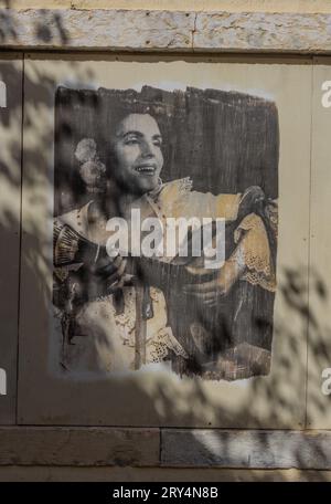 Pictures of famous Amalia Rodrigues fado singers on the walls of the ...