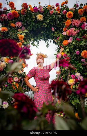 Dahlia flower farmer Andie McDowell checks blooms on a spectacular ...