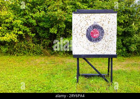 target in the park with traces of airgun bullets. bullet hole. hitting ...