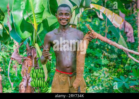 Ghana, Samreboi. Agroforestry: Agriculture in rainforest. Mother with ...