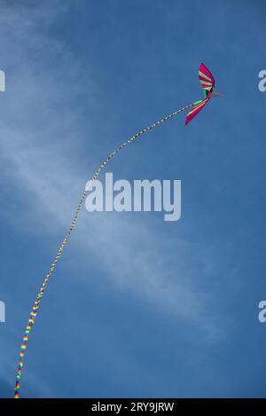 Colorful Asian silk kite flying against the blue sky Stock Photo - Alamy
