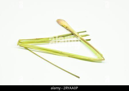 Raw aromatic Lemongrass isolated on white background Stock Photo - Alamy