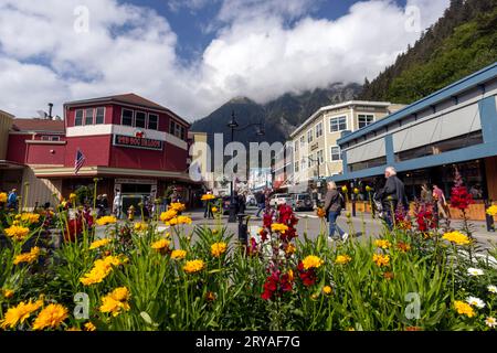 Blooming flowers in Juneau, Alaska, USA Stock Photo - Alamy