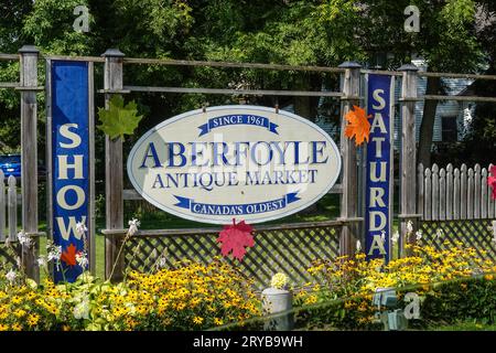 Aberfoyle Antique Market is Canada oldest antique flea market with ...