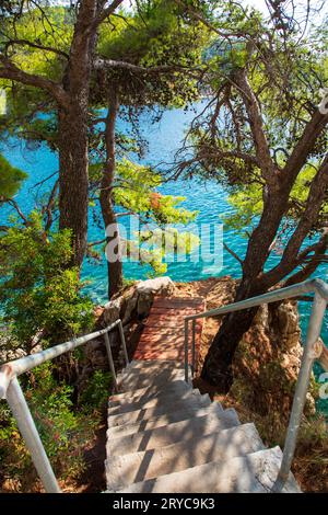 Promenade along the sea in Dubrovnik's area of Lapad Stock Photo - Alamy
