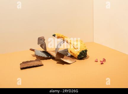 Creative autumnal composition with squash and tree bark. Minimal still ...