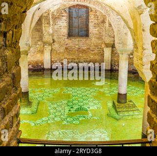 ancient flooded crypt with floor mosaics in Italy Stock Photo - Alamy