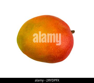 One whole mango fruit isolated on white background Stock Photo - Alamy