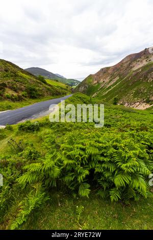 Road over the Sychnant Pass. Or Bwlch Sychnant, Conwy, Wales UK, In ...