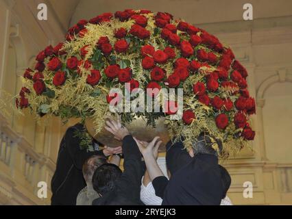 Rose flowering plant without thorns used as a ornamental plant Rose ...