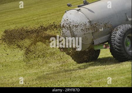 Liquid manure from animals as fertilizer Stock Photo - Alamy