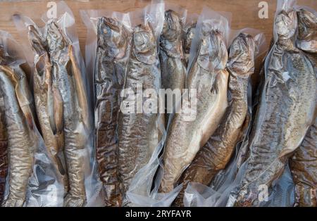 a freshly caught trout for eating, fish as part of a balanced diet ...