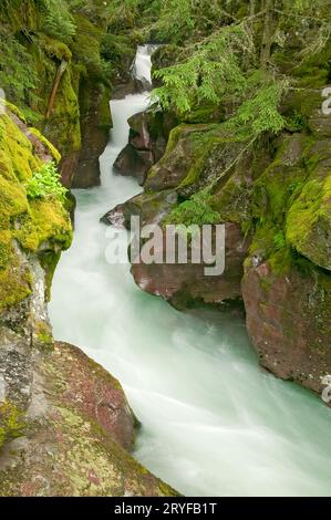 Avalanche Creek & Gorge, Trail of the Cedars, Apgar area, Glacier ...