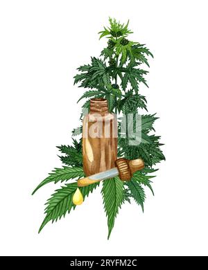 Watercolor hemp oil on white background. Hand drwn cannabis oil ...