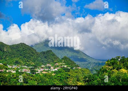 A view of the Dominica coast and the jungle Stock Photo - Alamy