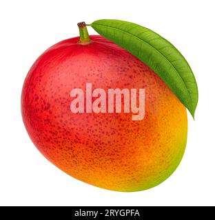 One whole mango fruit isolated on white background Stock Photo - Alamy