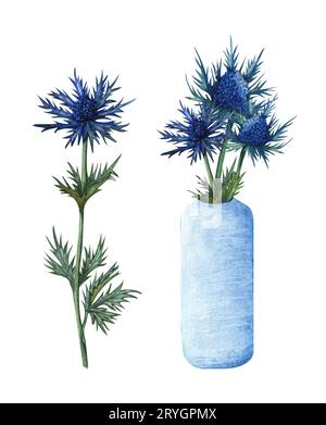 Watercolor illustration thistle, blue thorn. Wedding blush floral Stock ...