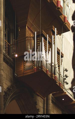 A vertical shot of a historic Cologne Cathedral exterior wall ...
