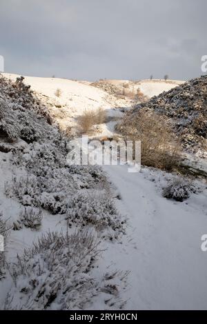 Snow view of wetland Stock Photo - Alamy