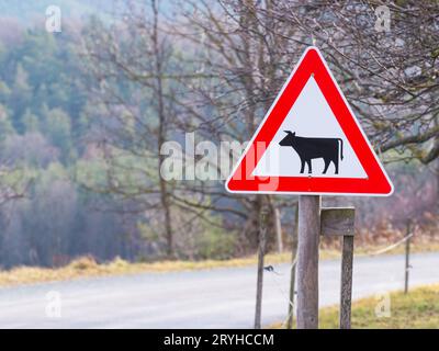 Cattle crossing warning road sign. Vector illustration of cow caution ...