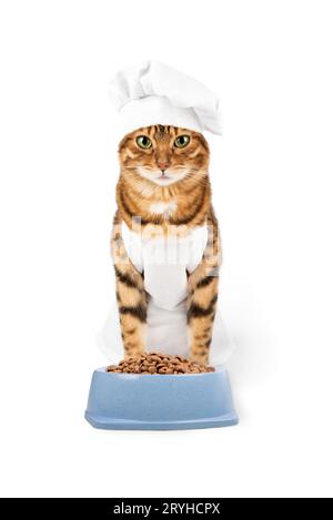 Funny cat in a chef's hat and apron is going to grate cheese Stock ...