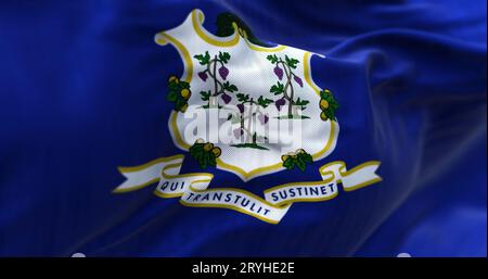 Close-up view of the Connecticut state flag fluttering. White shield on ...