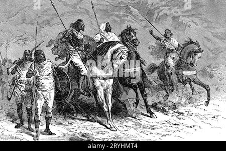 Abyssinian (Ethiopian) soldier with spear and shield. Illustration ...