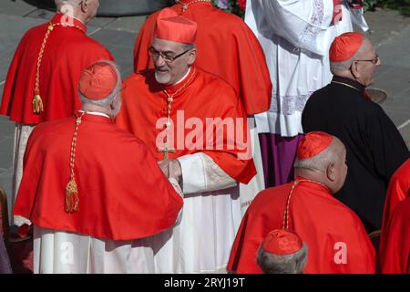 Pope Francis elevates new cardinal Sebastian Francis during a ...