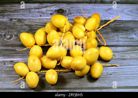 Yellow Barhi dates, botanically classified as Phoenix dactylifera ...