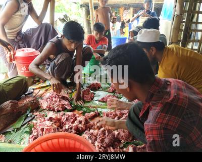 Rohingya refugee are dividing the qurbani kurbani cow meat Stock Photo ...