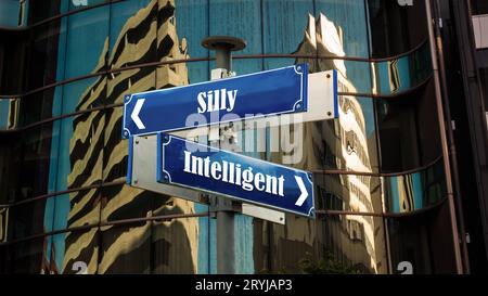 Street Sign the Direction Way to Intelligent versus Silly Stock Photo ...