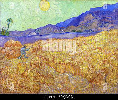 Van Gogh Vincent - Wheatfield with a Reaper (1889 Stock Photo - Alamy