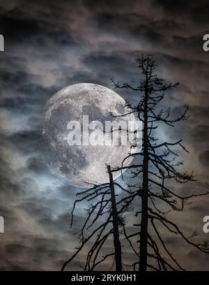 Sky Tree and Super Blue Blood Moon Stock Photo - Alamy