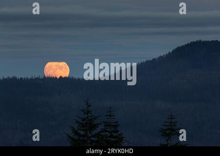 Close up of the harvest supermoon rising over the cascade mountains in ...
