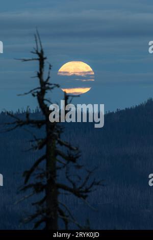Close up of the Harvest Supermoon rising over Crater Lake National Park ...