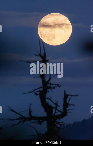 Close up of the harvest supermoon rising over the cascade mountains in ...