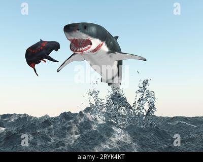 Great white shark hunting a seal Stock Photo - Alamy