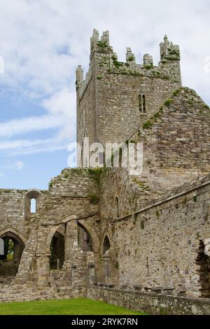 Ruin of Jerpoint Abbey, a medieval monastery near Thomastown, Ireland ...