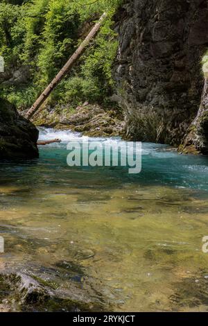 Vintgar Gorges near Bled in Slovenia Stock Photo - Alamy