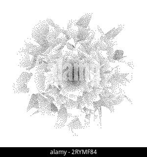 Black dotted rose flower form. Textured plant petal element for leaflet ...