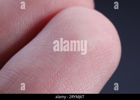 Macro view of finger with friction ridges Stock Photo - Alamy
