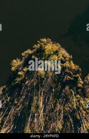 Aerial shot of devastated forest landscape after supercell storm in ...