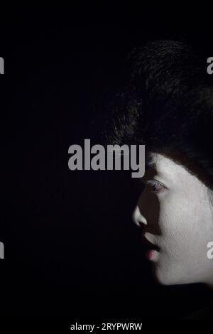 Side view, portrait of Geisha Stock Photo - Alamy