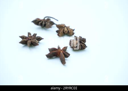 A group of star anises isolated on white background. Dried star anise ...