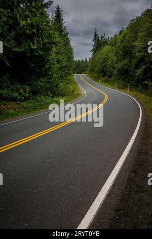 A scenic road with a bright yellow centerline winding through a lush ...