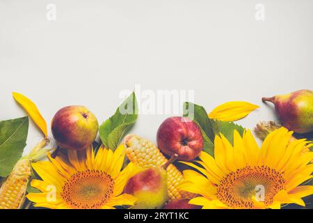 Autumn background. Border of sunflower, corn and pears Stock Photo - Alamy