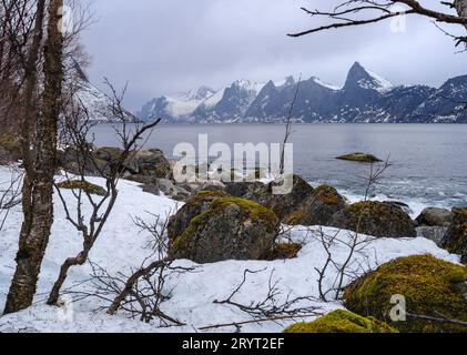 Landscape of Senja Island, Norway Stock Photo - Alamy